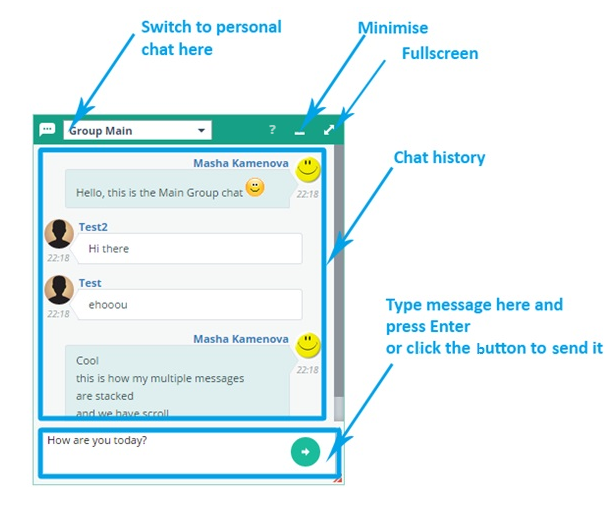 Virtual Classroom: Functional Windows | Vedamo Knowledge