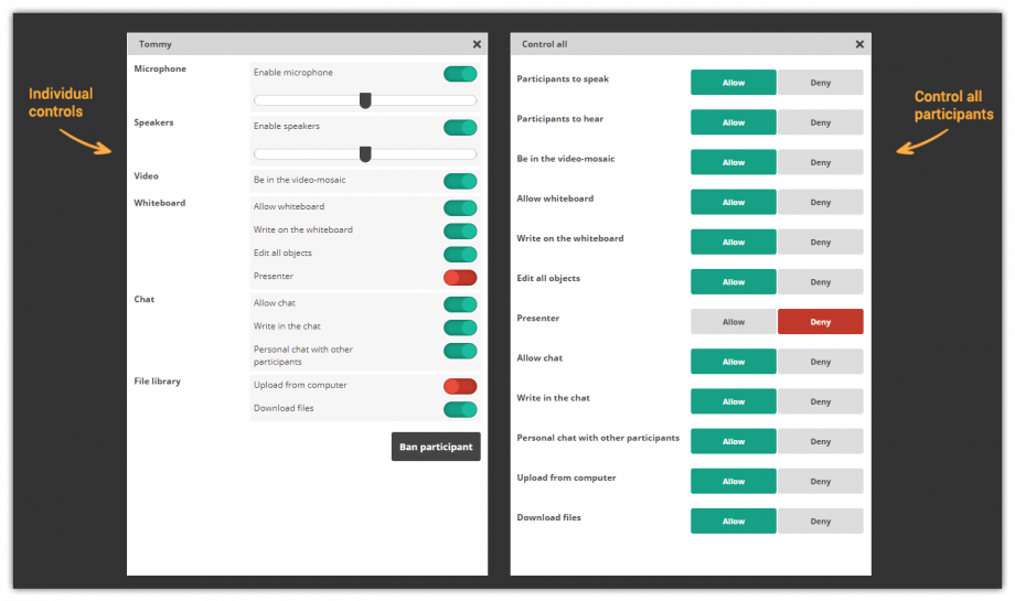 Participant Controls in the Virtual Classroom | VEDAMO