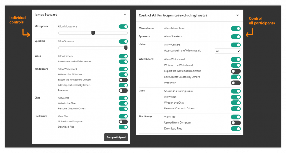 Participant Controls in the Virtual Classroom | VEDAMO