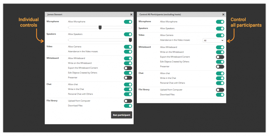 Participant Controls in the Virtual Classroom | VEDAMO