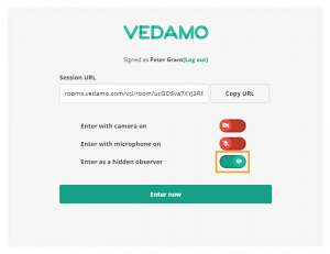 Virtual classroom observers. The observer role | VEDAMO