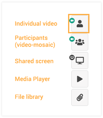 Individual video and Screen Share in the Virtual Classroom | VEDAMO