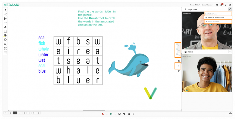 Video Boxes Settings for Participants in the Virtual classroom | VEDAMO