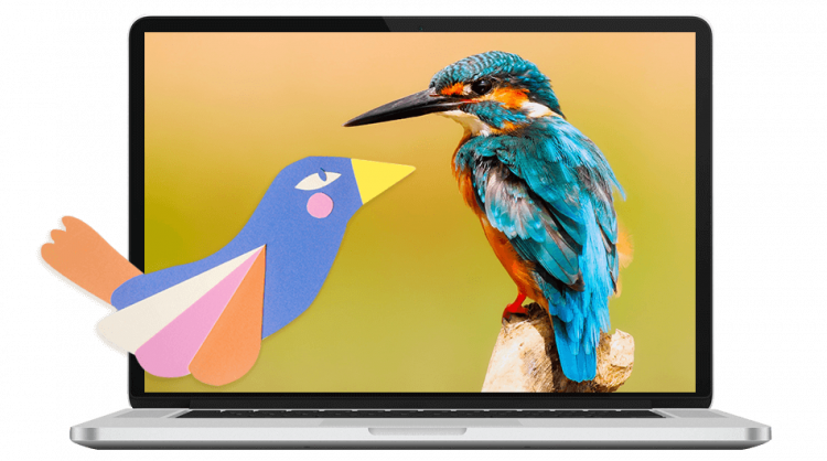 5 ideas for interactive online whiteboard activities | VEDAMO