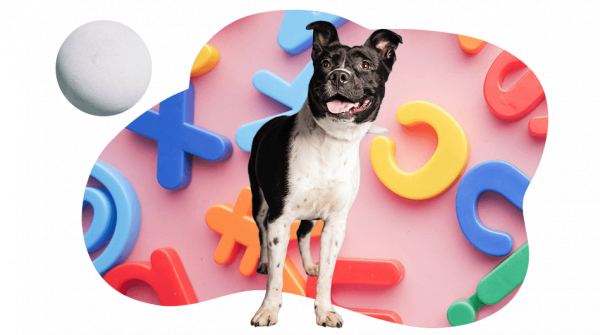 The power of the bite-sized method in online learning | VEDAMO